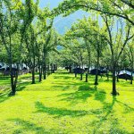 Chitlang Organic Village Resort Price, & Packages 2023