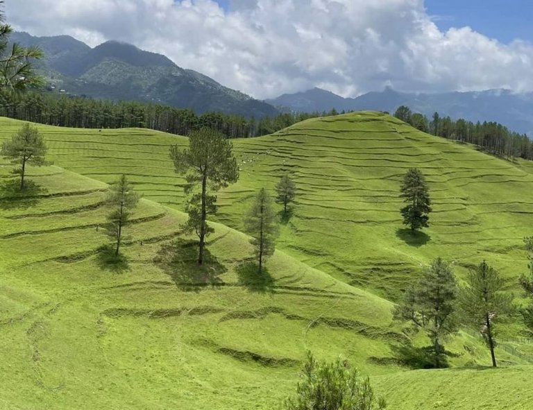 Chitlang Organic Village Resort Price, & Packages 2023