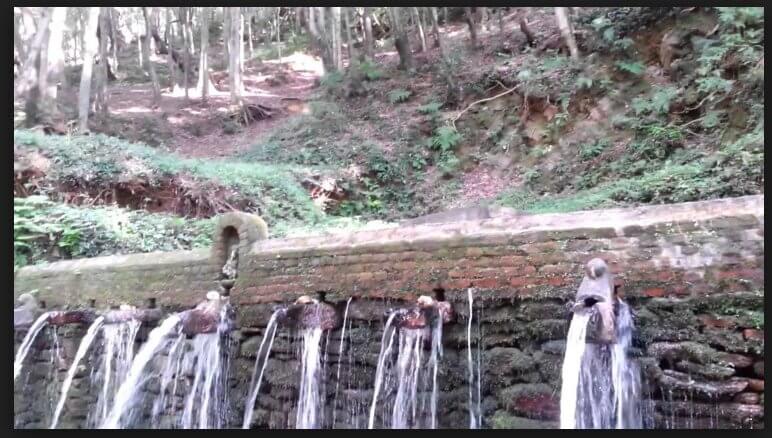 Chitlang Organic Village Resort Price, & Packages 2023